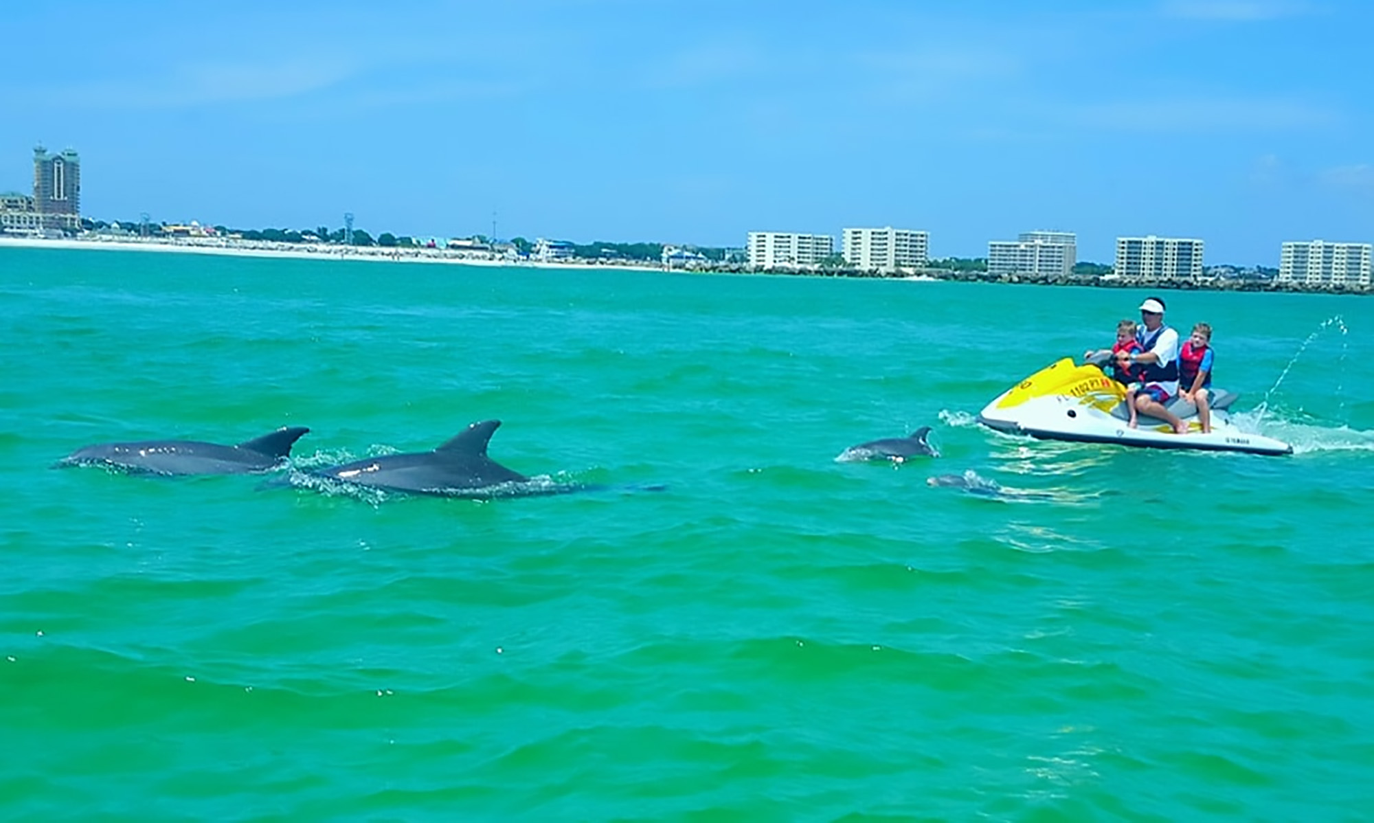 Dolphin Tours - Crab Island Runner